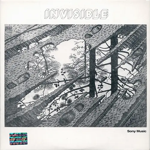 CMTV - Letra OSO DEL SUEÑO de Invisible